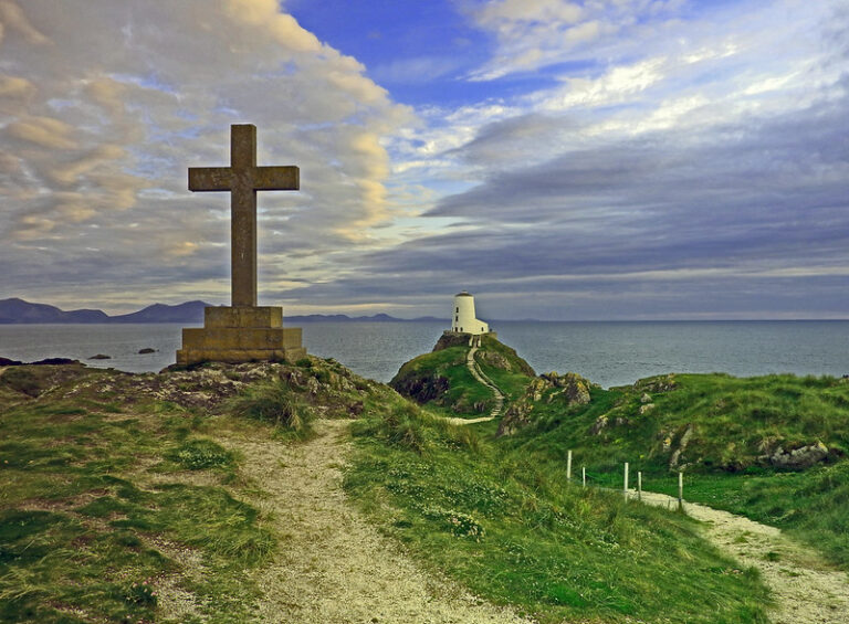 Resources to celebrate St Dwynwen’s Day - Adnodd